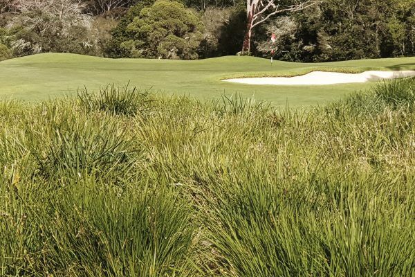Pambula-Merimbula Golf Club -the 2025 review